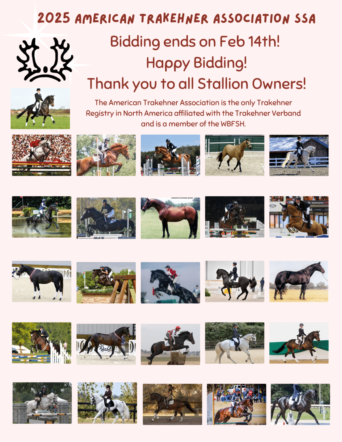 Home - American Trakehner Association